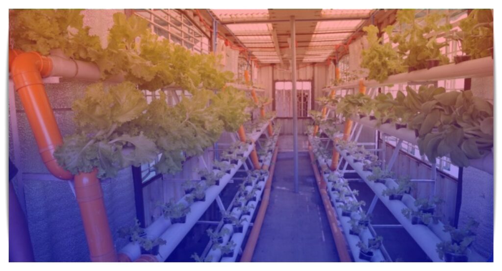 Smart Farming in the Philippines: Programs and How to Apply