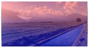 Irrigation Projects in the Philippines: How to Apply